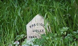 How Long Does It Take For A Buried Dog To Decompose? (Buried & Above ...