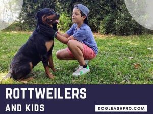 Are Rottweilers Good With Kids? - Dog Leash Pro